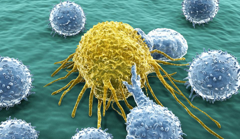 Supravieţuitorii limfomului Hodgkin din copilărie sunt expuşi unui risc ...