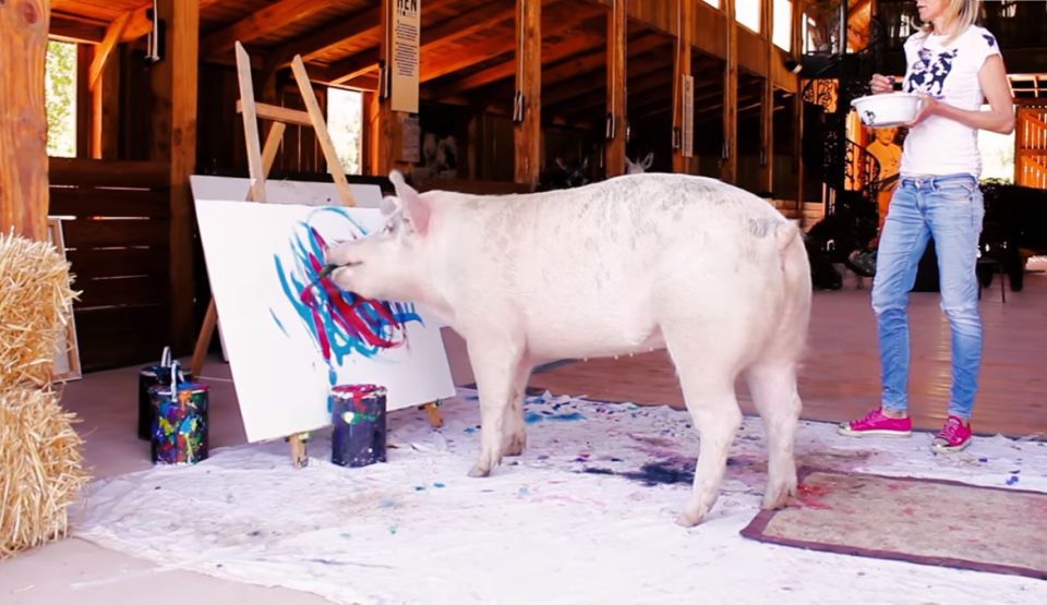 O purcică a devenit celebră pentru picturile sale