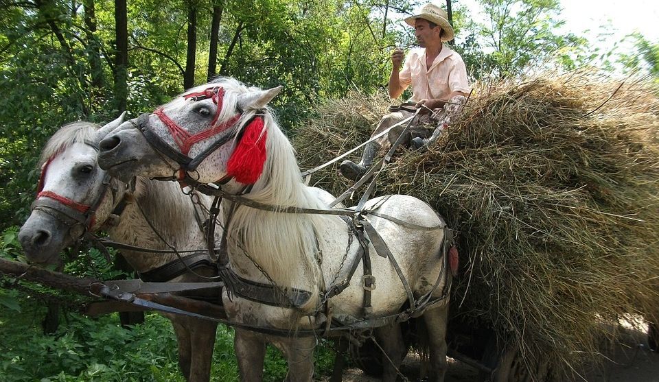 Ziua Internaţională a Monumentelor şi Siturilor Arheologice 2019 ...