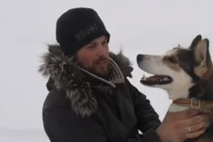 Povestea celor 101 dalmaţieni transformată în cea a 110 husky