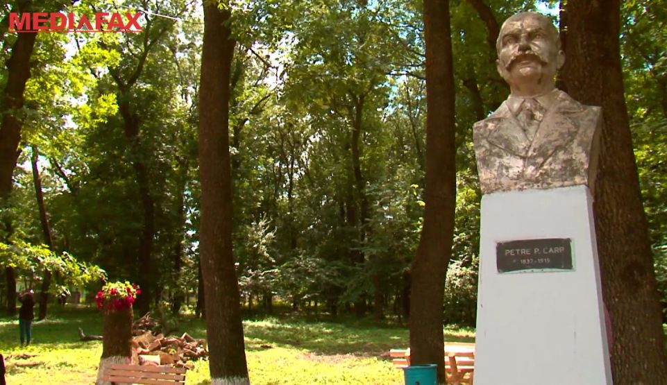 Copaci tăiaţi din parcul dendrologic al Conacului Petre P. Carp ...