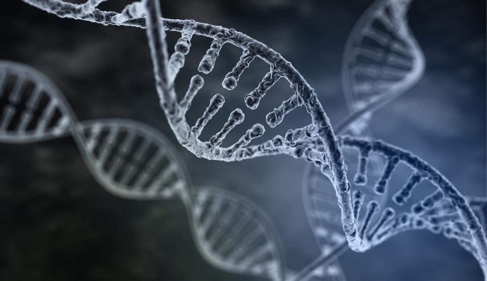 Mutaţiile genetice ascunse reprezintă ''combustibilul'' salturilor ...