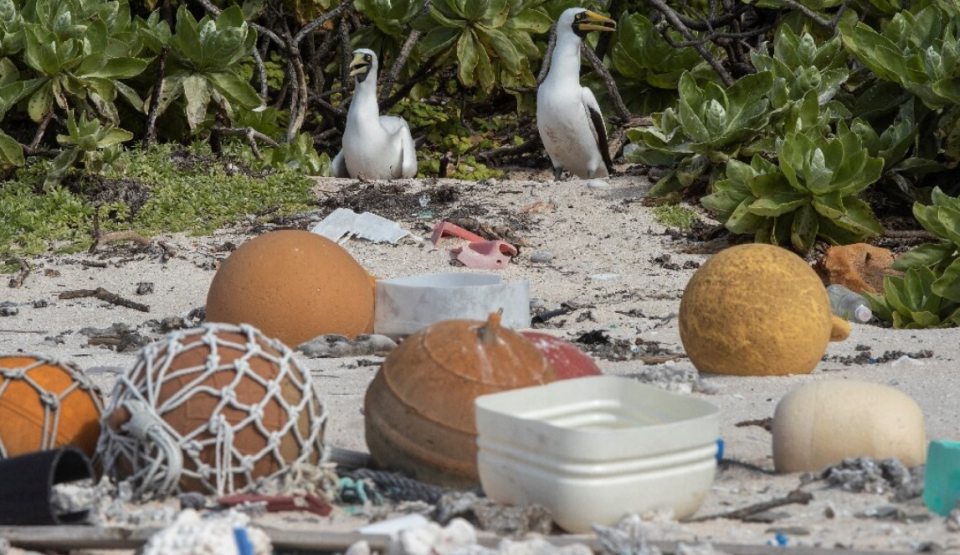 Deşeurile de plastic au transformat o insulă din Oceanul Pacific într ...