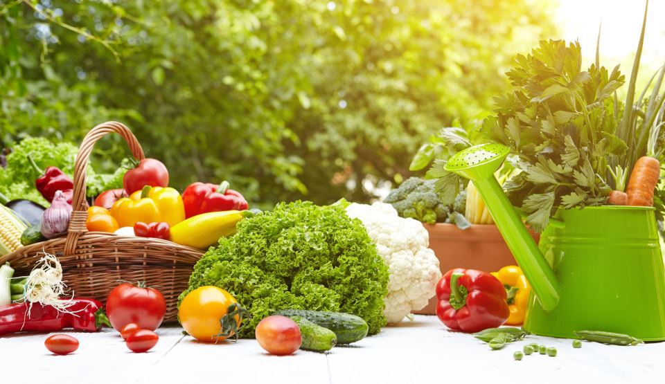 Sunt sigure legumele şi fructe româneşti de sezon din pieţe şi ...