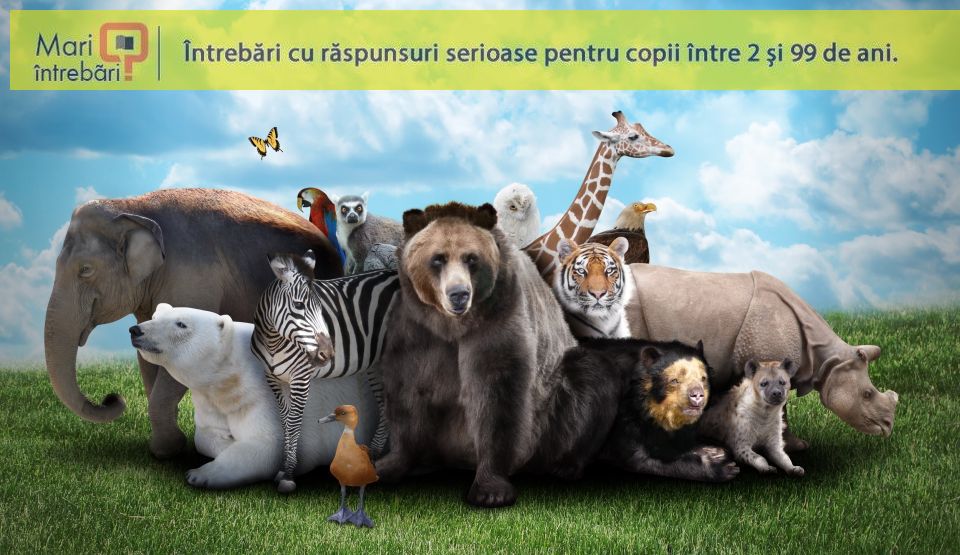 De ce nu există animale cu trei picioare?