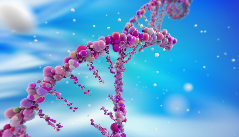 ADN-ul circular, responsabil de rezistenţa tumorilor