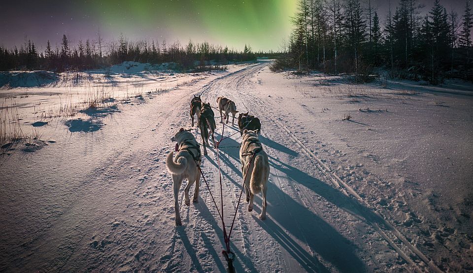 Curiozităţi despre animale care te vor surprinde