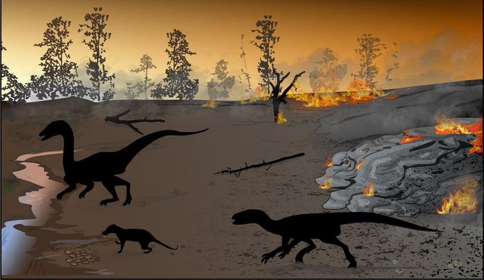 Dinozaurii şi alte animale au supravieţuit în tărâmul flăcărilor la ...