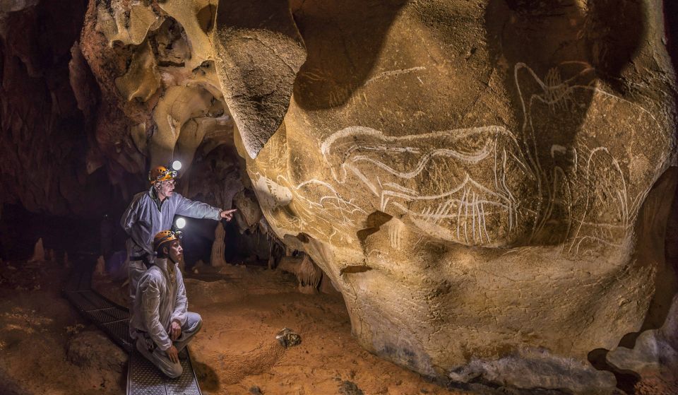 Peştera Chauvet, ''Capela Sixtină a preistoriei'', poate fi vizitată ...