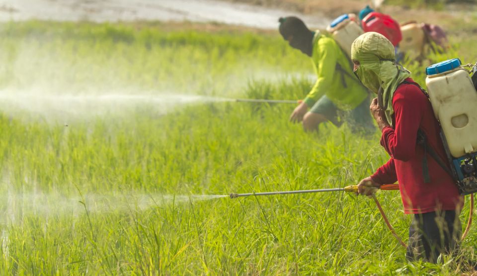 Cele mai comune chimicale care afectează corpul uman
