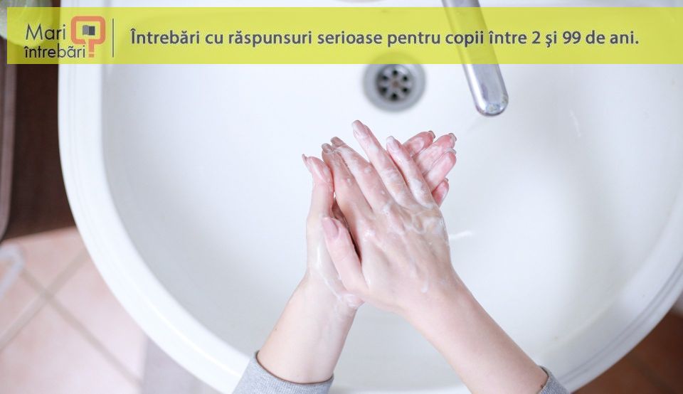 De ce spălatul pe mâini funcţionează împotriva coronavirusului şi a ...