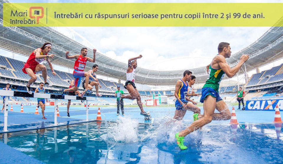 Ce este acidul lactic?