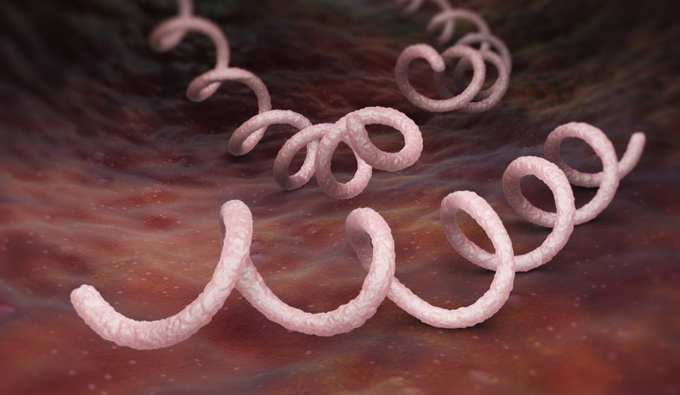 O singură genă diferită poate face ca sifilisul să treacă nedetectat ...