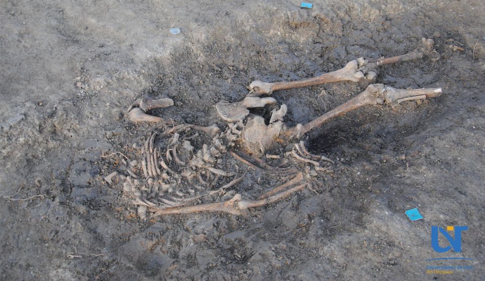 Mormânt comun din vremea ciumei, descoperit la Timişoara