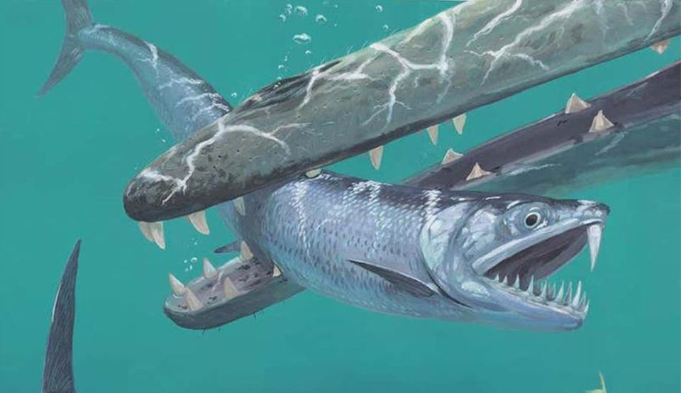 Hamsiile din vremurile preistorice erau teroarea mărilor. Ce au ...