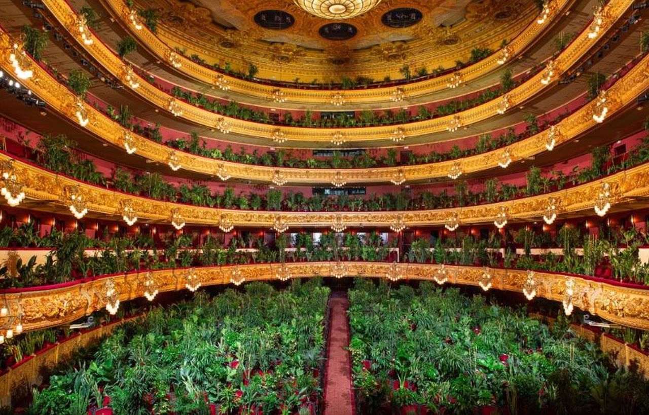 Eveniment inedit la Barcelona. Opera Gran Teatre del Liceu s-a ...