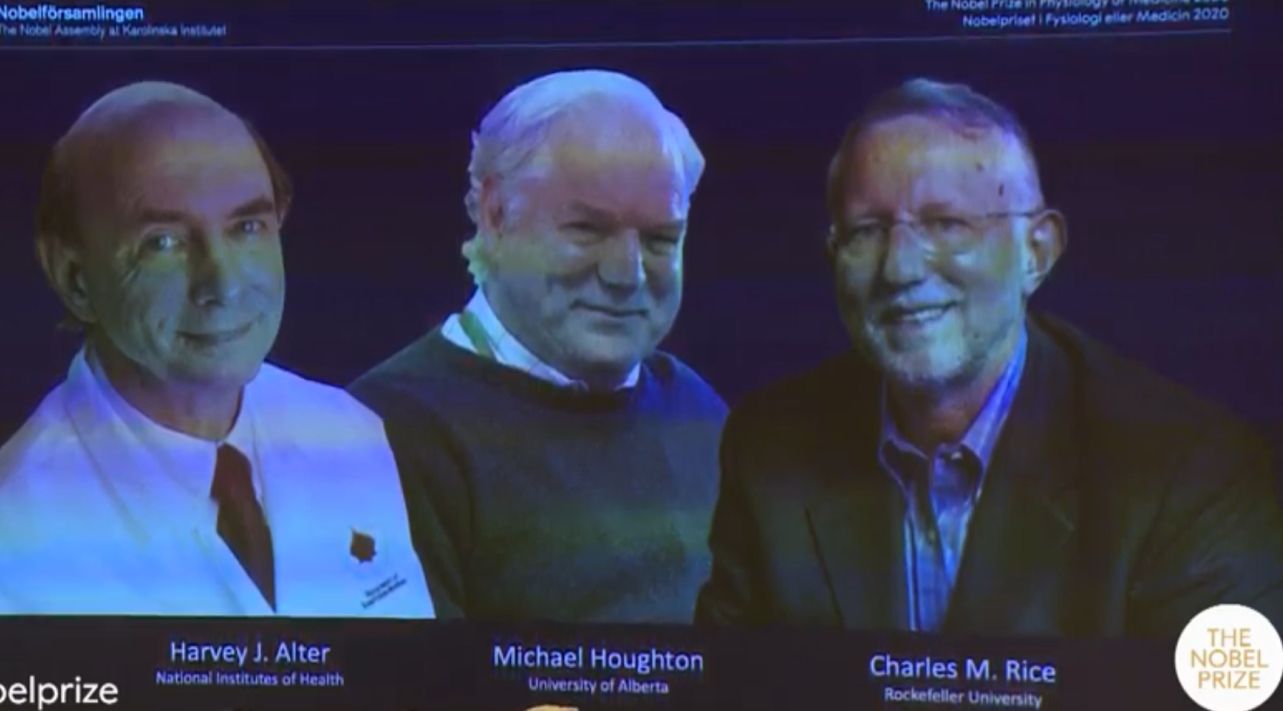 Premiul Nobel pentru Medicină 2020: descoperirea virusului Hepatitei C