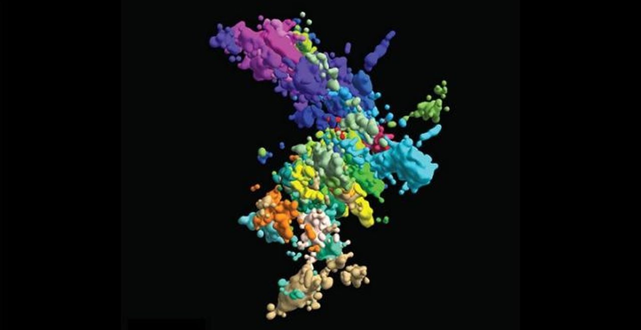 Cromozomii nu arată cum ne-am fi imaginat: Cercetătorii au obținut ...