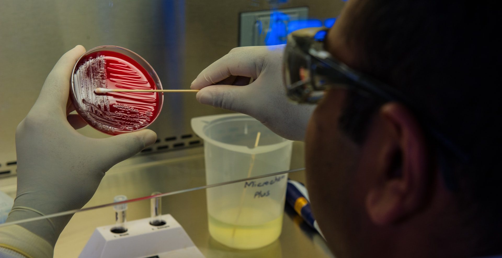 Peste 12.000 de noi specii de microbi tocmai au fost descoperite de ...