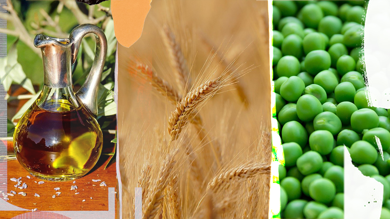 Top 10 alimente și băuturi populare în Roma Antică