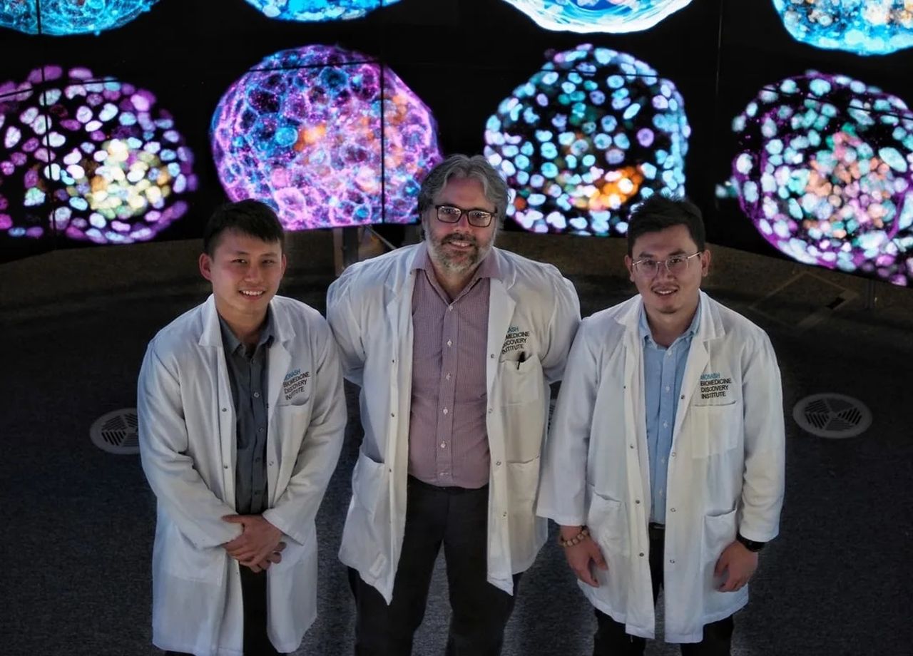 Progres major în lumea științei. Primele modele complete de embrion ...