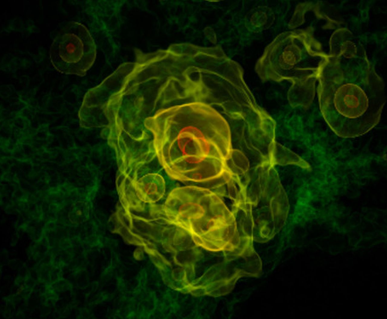 Astrofizicienii au simulat structura cuantică primordială a Universului ...