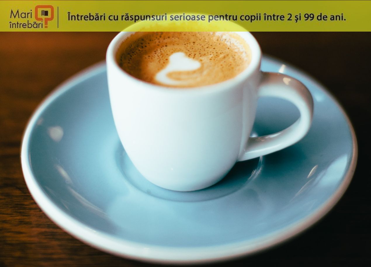 Cum ne trezește, de fapt, cofeina, cel mai folosit psihoactiv din lume?