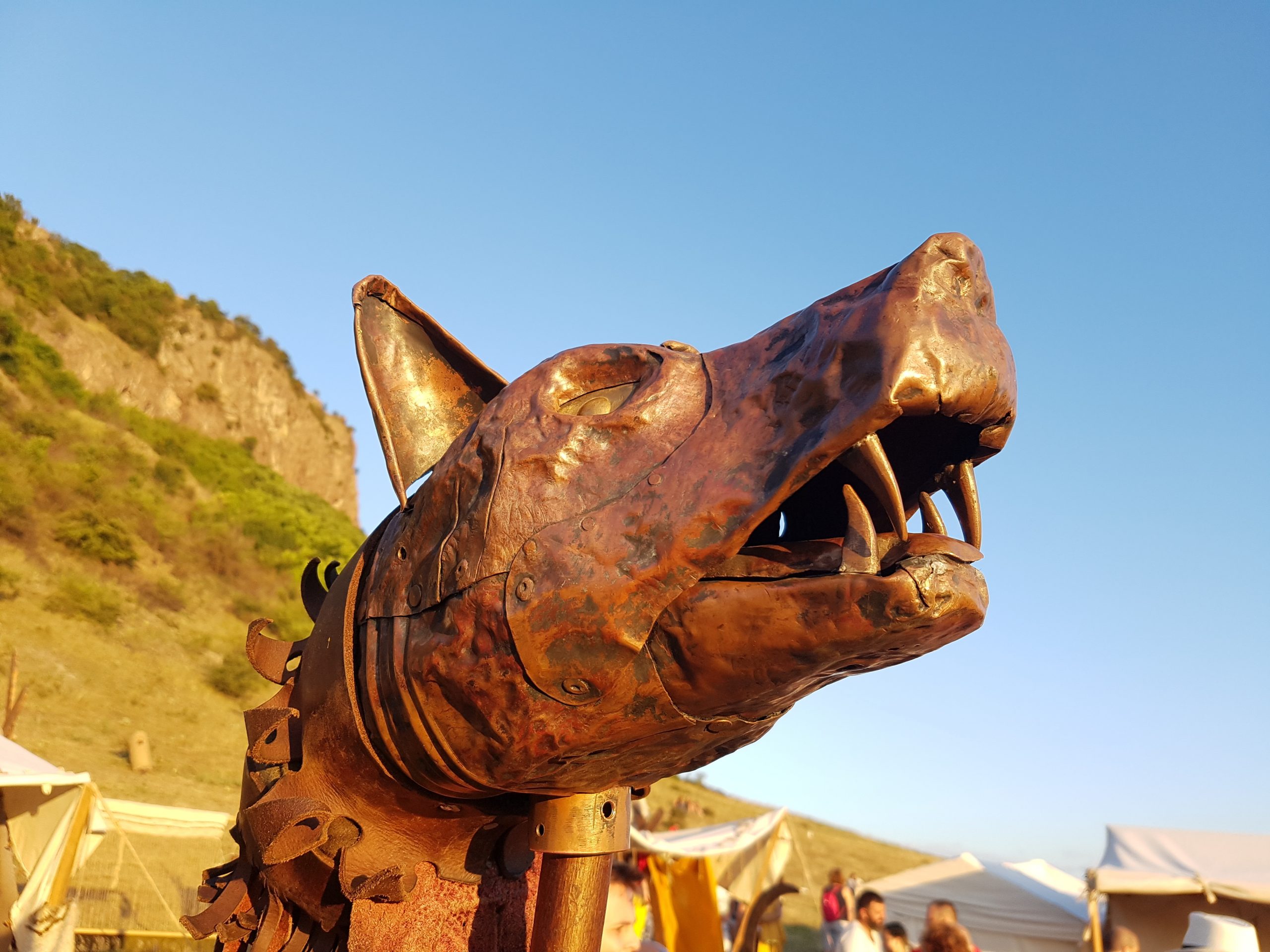 „Lupul dacic”. Cum a apărut și care era adevărata sa întrebuințare