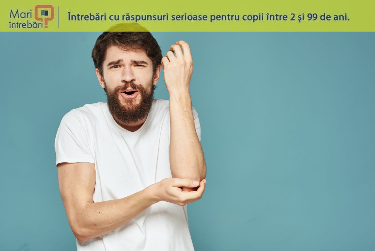 De ce simțim o durere atât de intensă atunci când ne lovim cotul?