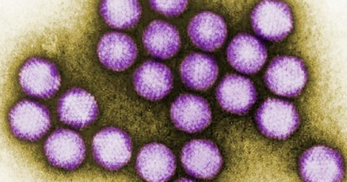 Virusul răcelii comune a existat cu mult timp înainte de apariția ...