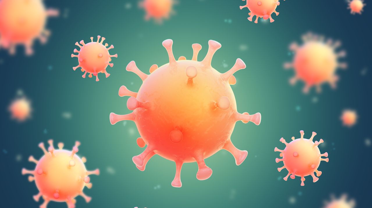 Tot ce trebuie să știi despre virusul Marburg, asemănător cu Ebola