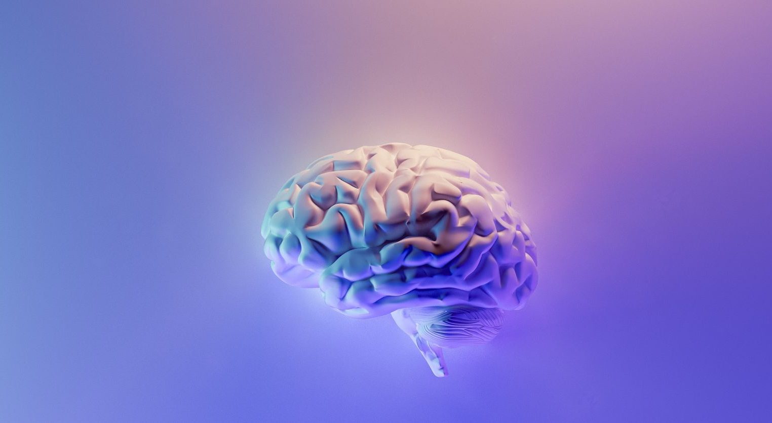 Cum stochează creierul amintirile? Oamenii de știință au descoperit ...