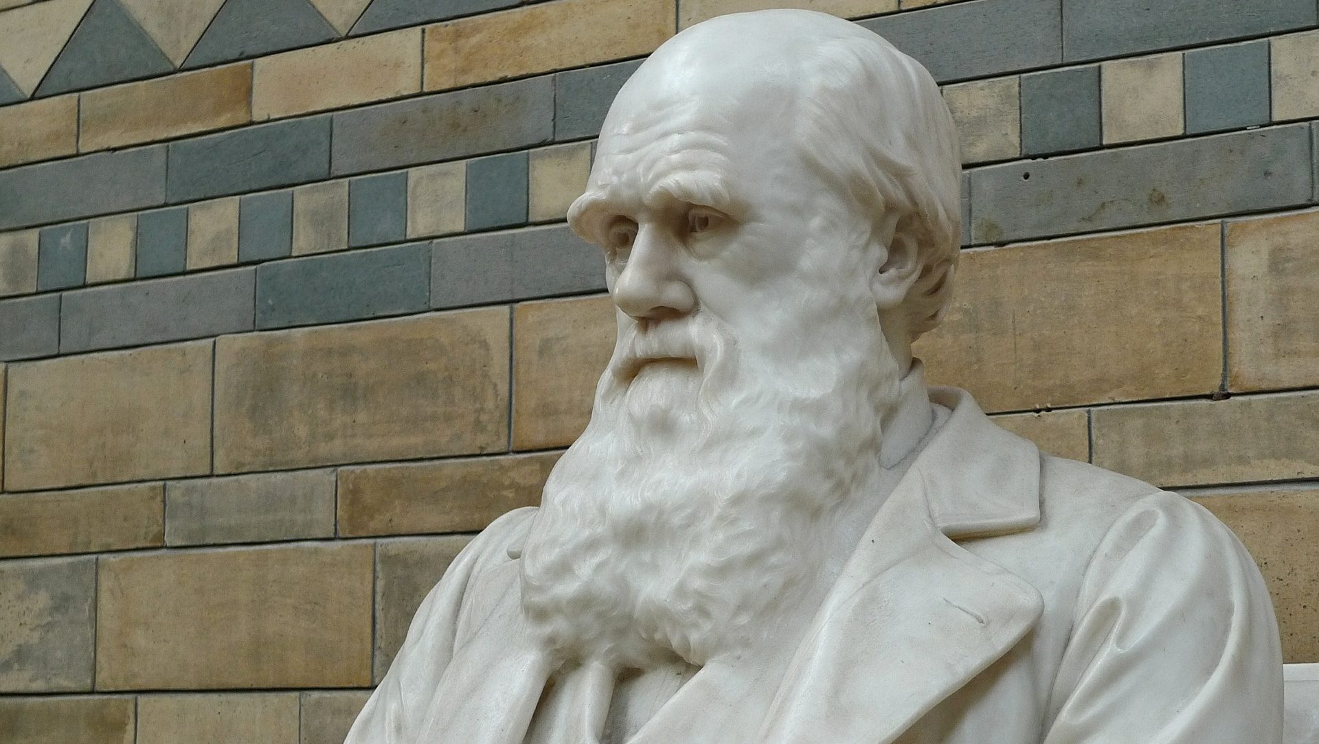 Un microscop dăruit de Charles Darwin fiului său va fi scos la licitație
