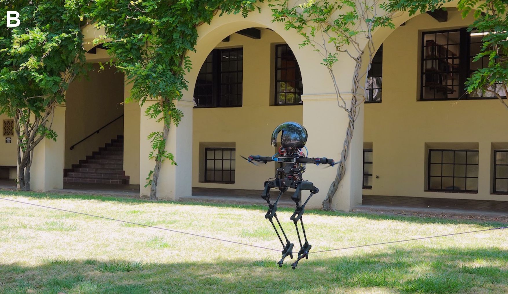 LEONARD, robotul biped care poate merge pe sfoară și skateboard. Ce ...
