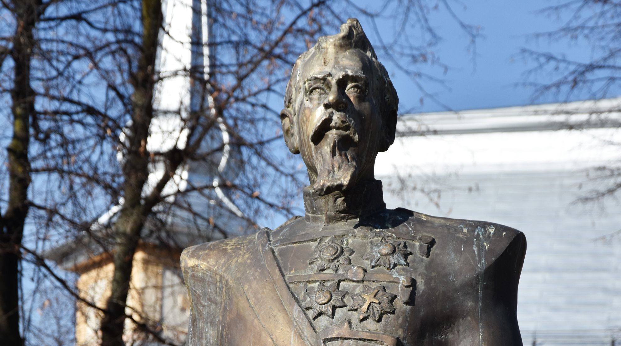 Cuza, liberalii și reformele