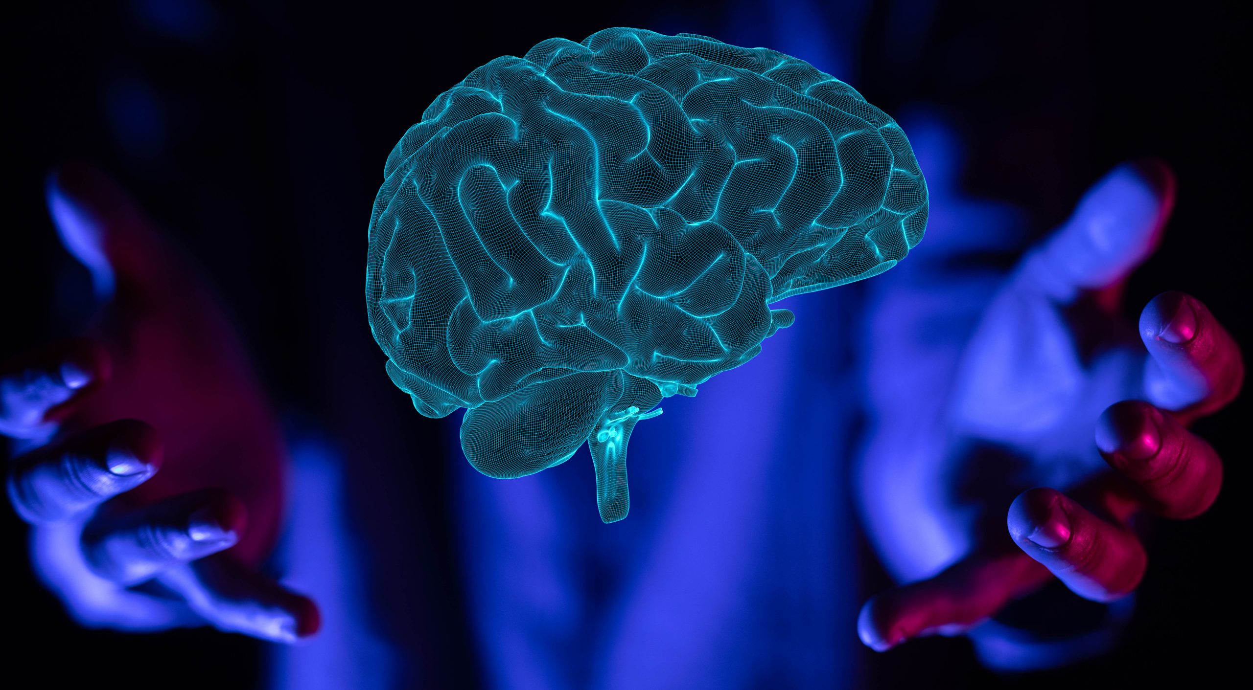 Nu toți creierii sunt la fel. De ce este creierul uman mult mai ...