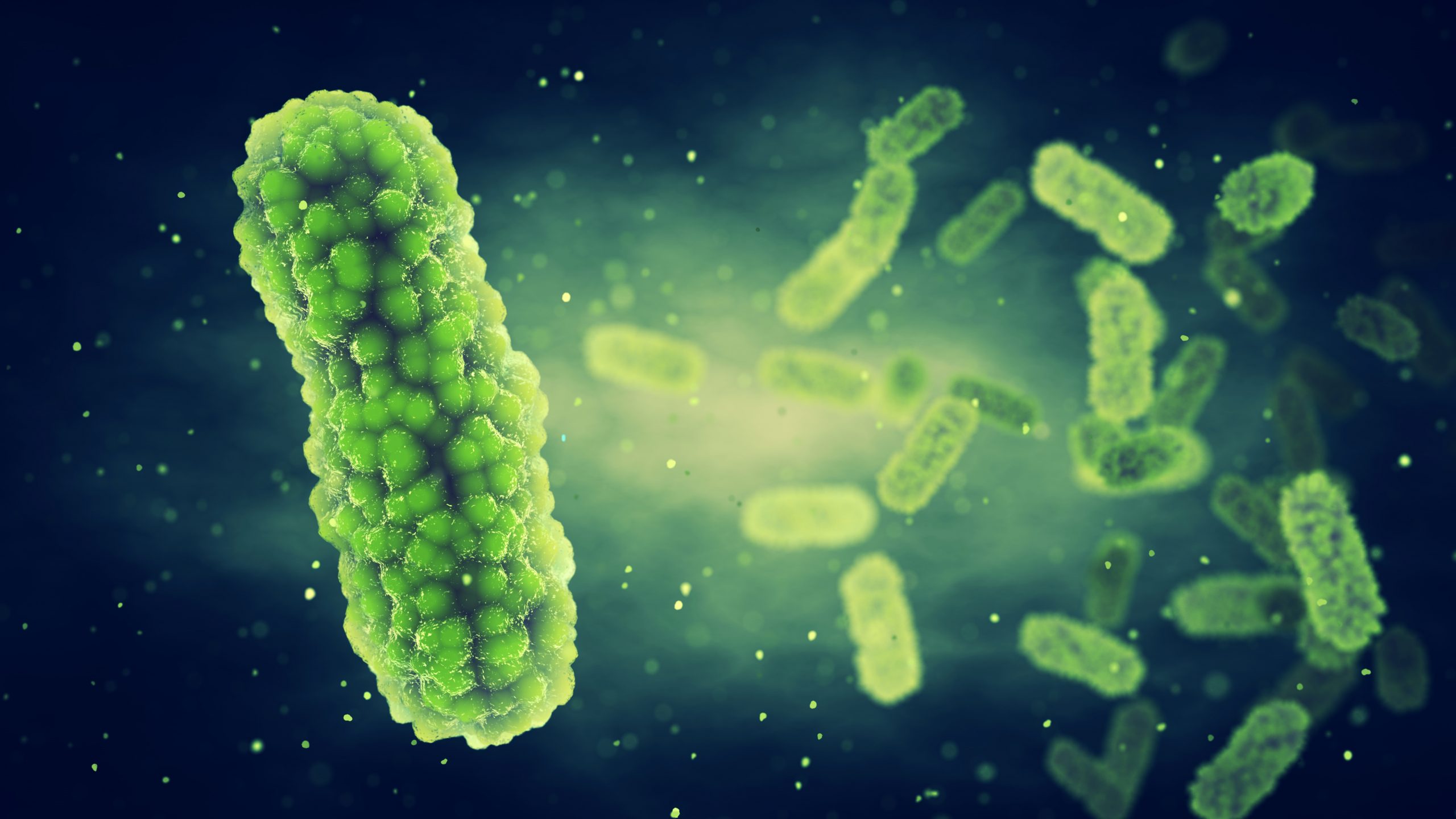 O bacterie misterioasă a dezvoltat o capacitate unică. „Este o ...