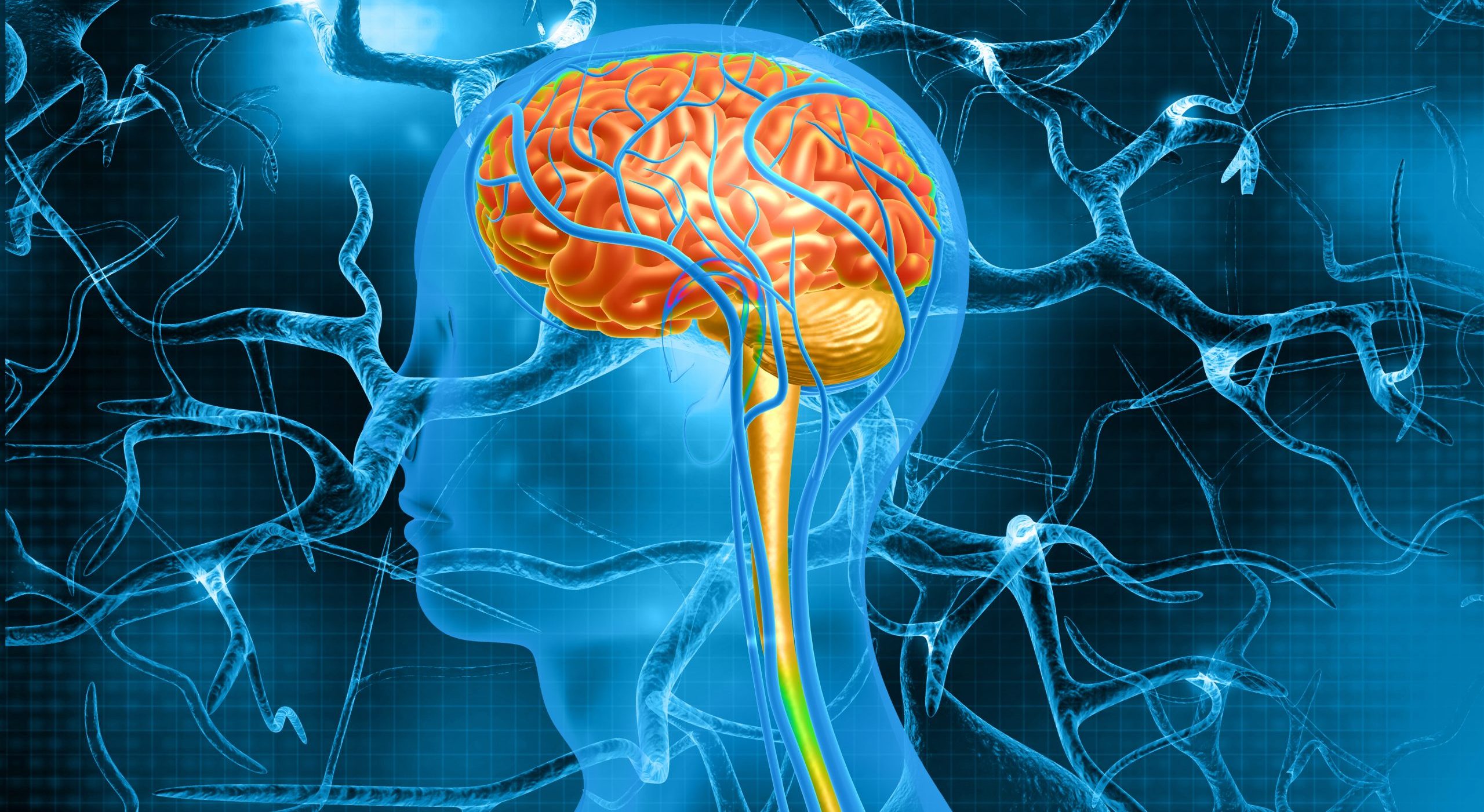 Un studiu a confirmat regiunea din creier care ne ajută să spunem ce ...