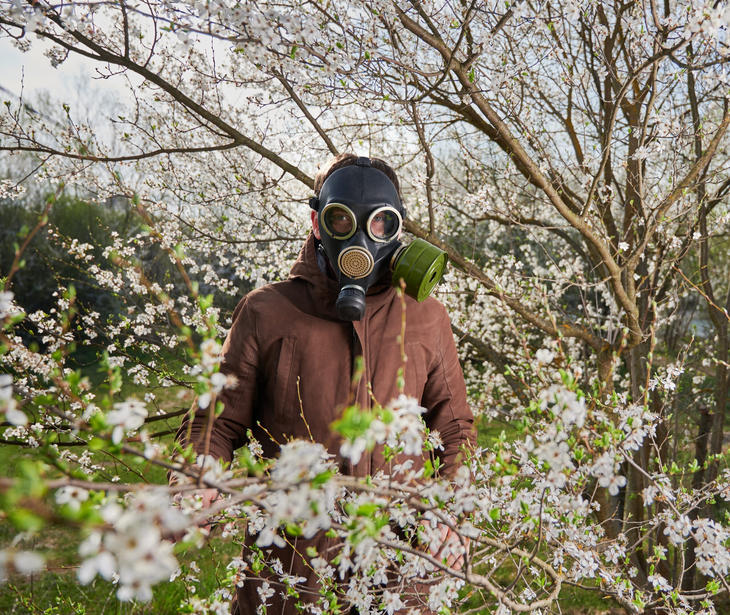 Guturaiul și alergiile sezoniere. Simptome, cauze și tratament