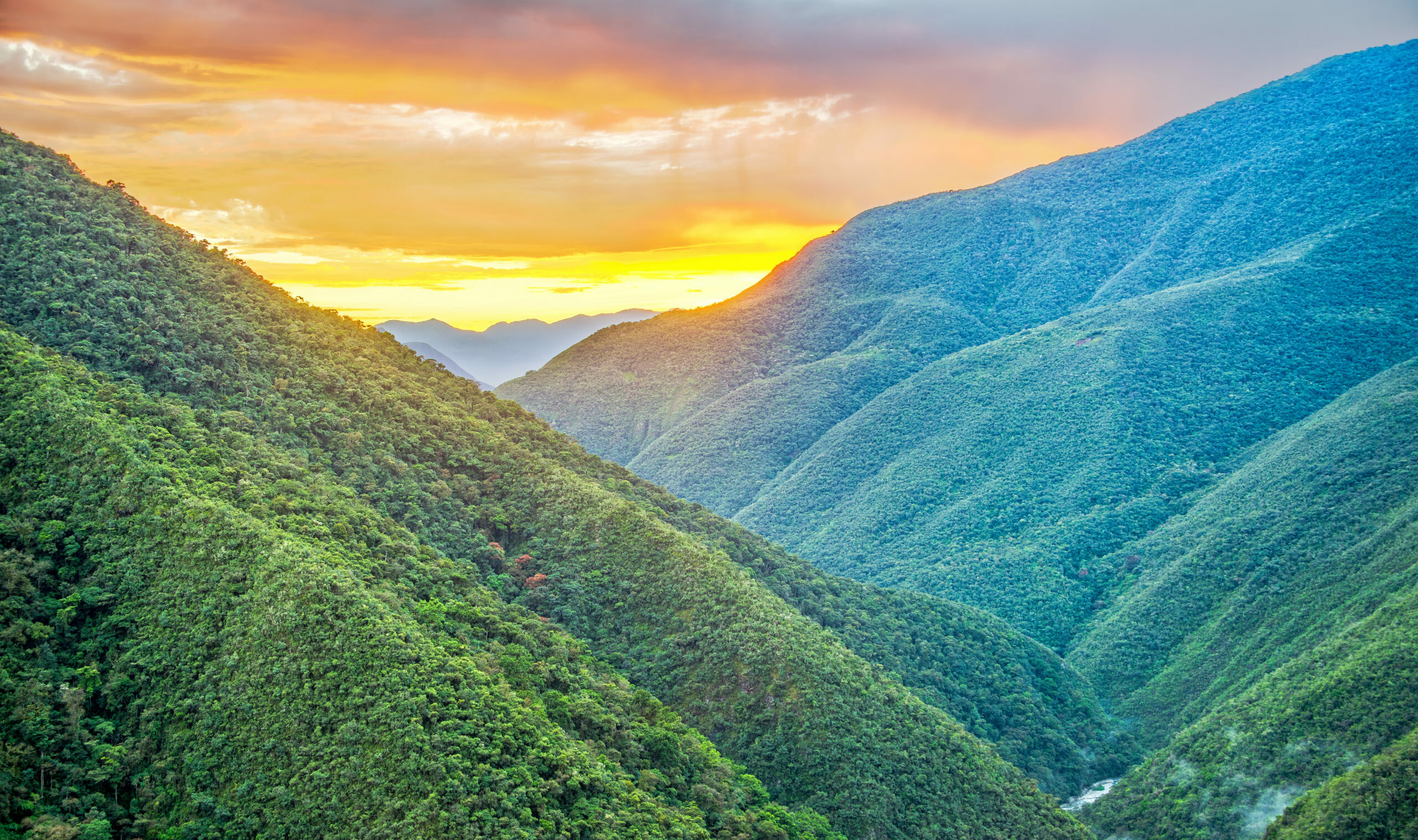 Orașele pierdute din Amazon, descoperite prin scanarea cu Lidar