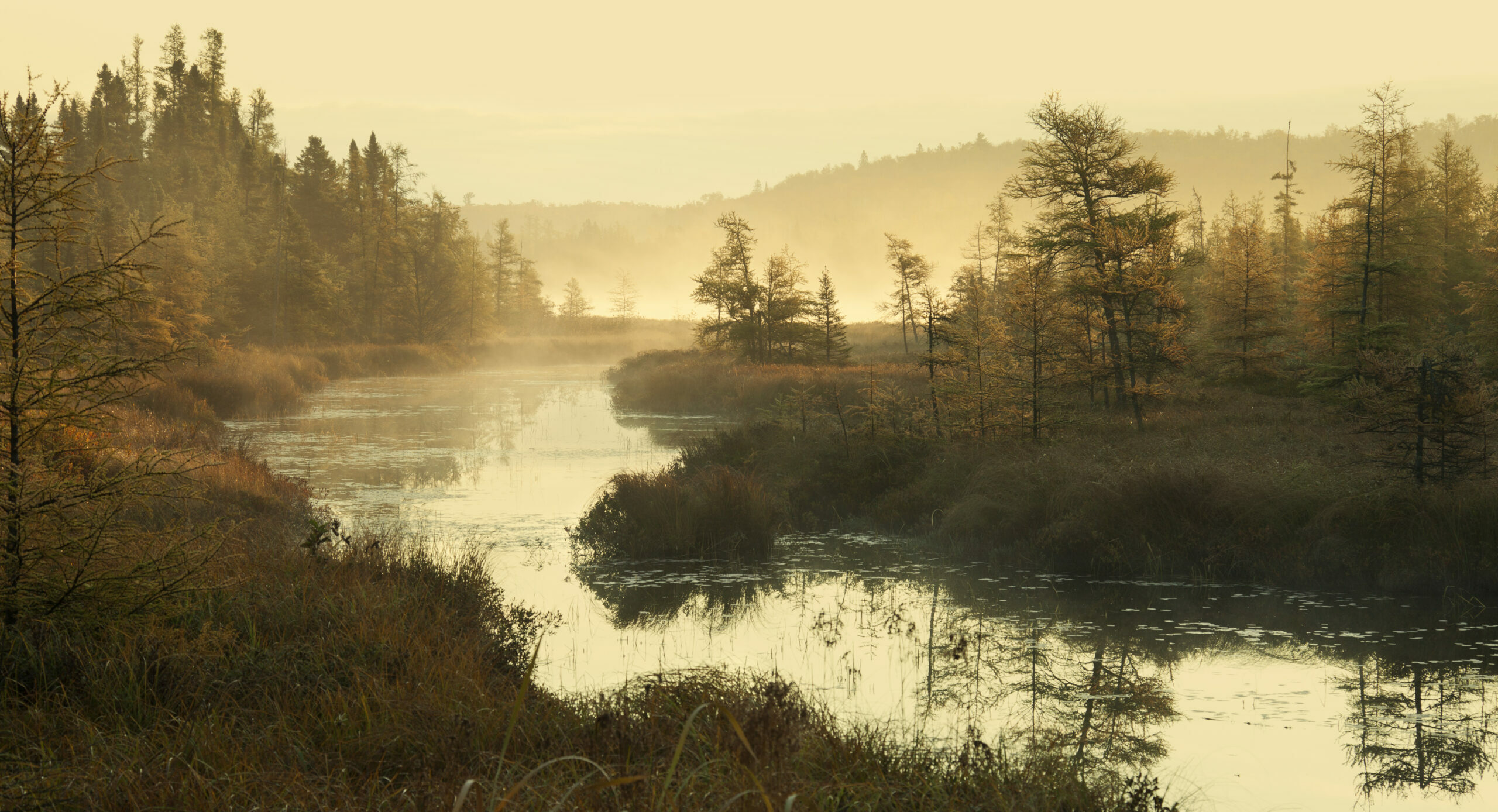 Un craniu vechi de 8.000 de ani, descoperit într-un râu din SUA