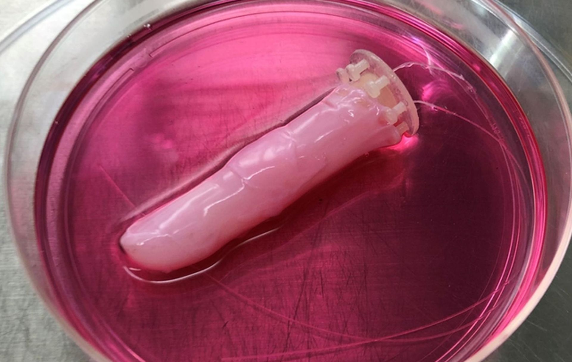 Cercetătorii au creat pielea umană vie pentru roboți