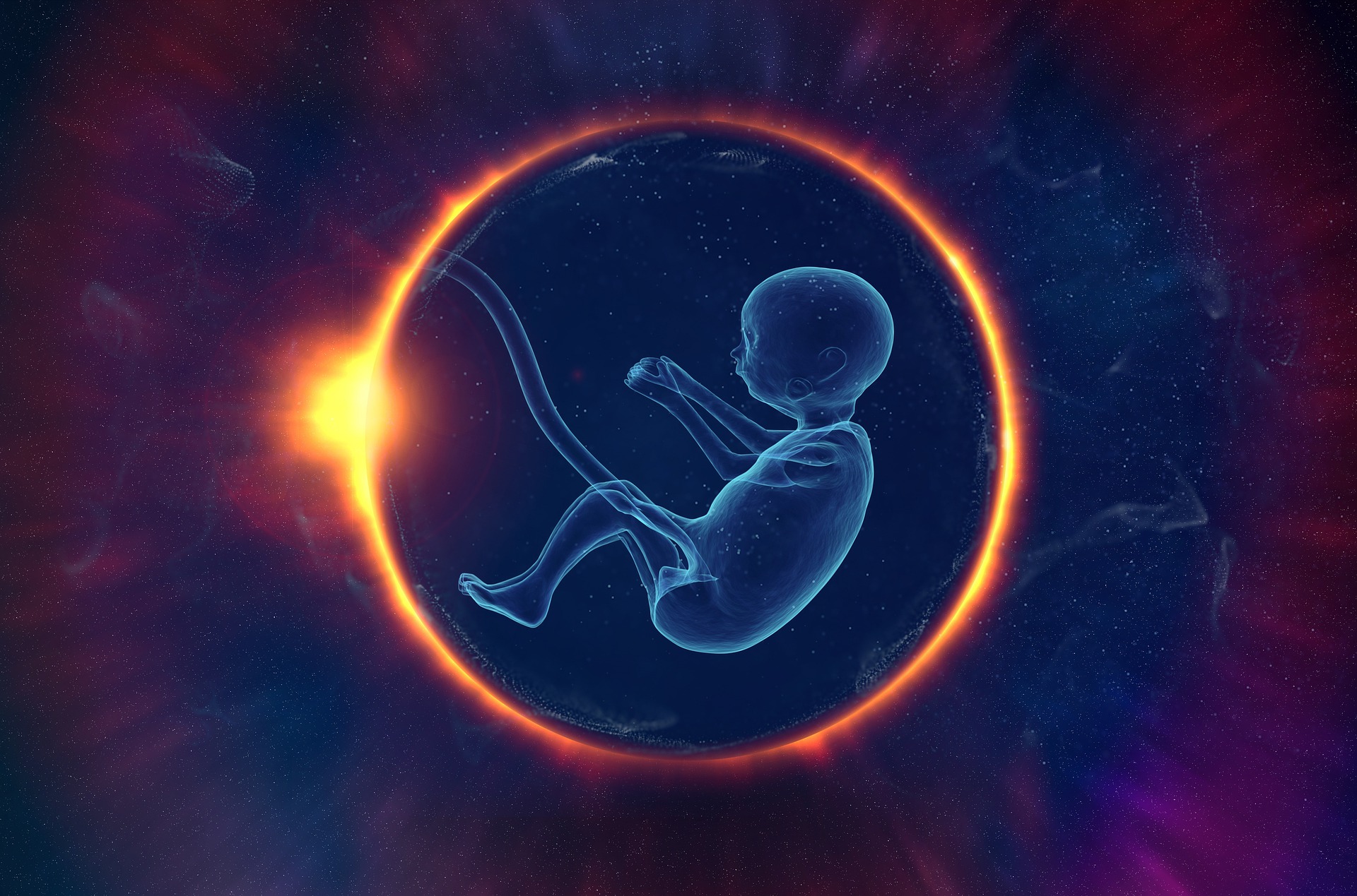 De ce vrea o firmă de biotehnologie să creeze un embrion sintetic?