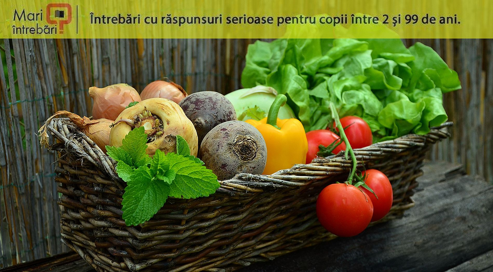 Care este diferența dintre fructe și legume?