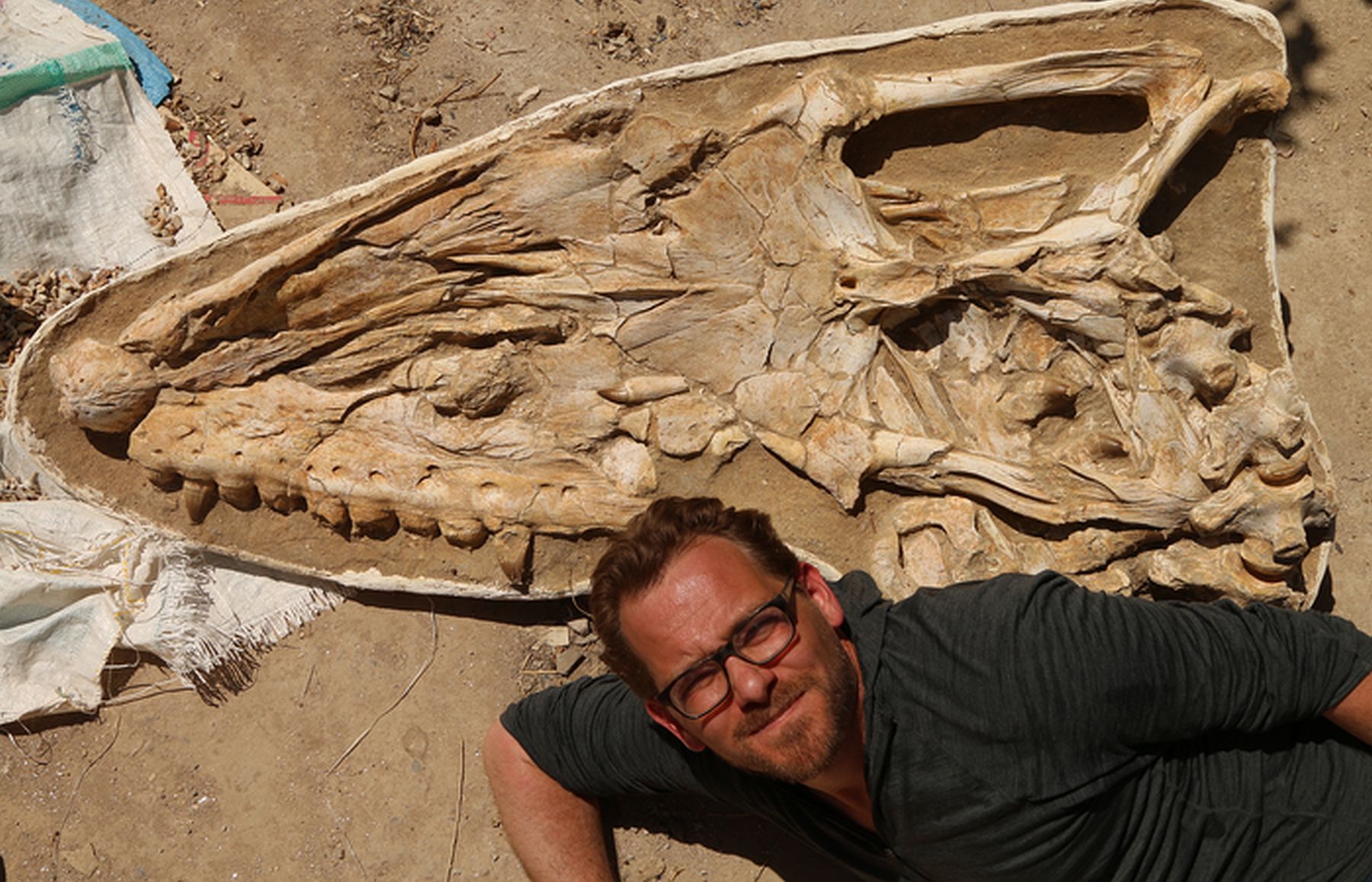 Șopârla care domina oceanele în urmă cu 66 de milioane de ani