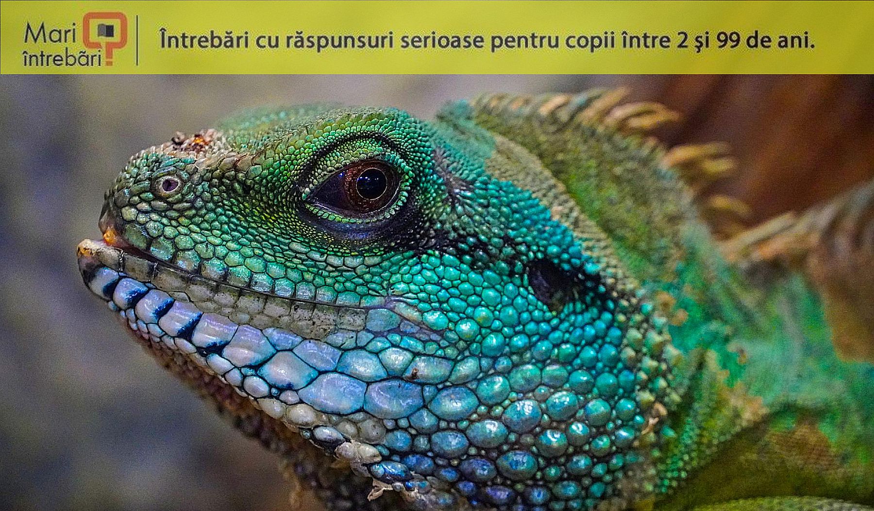 De ce există atât de multă diversitate la tropice?