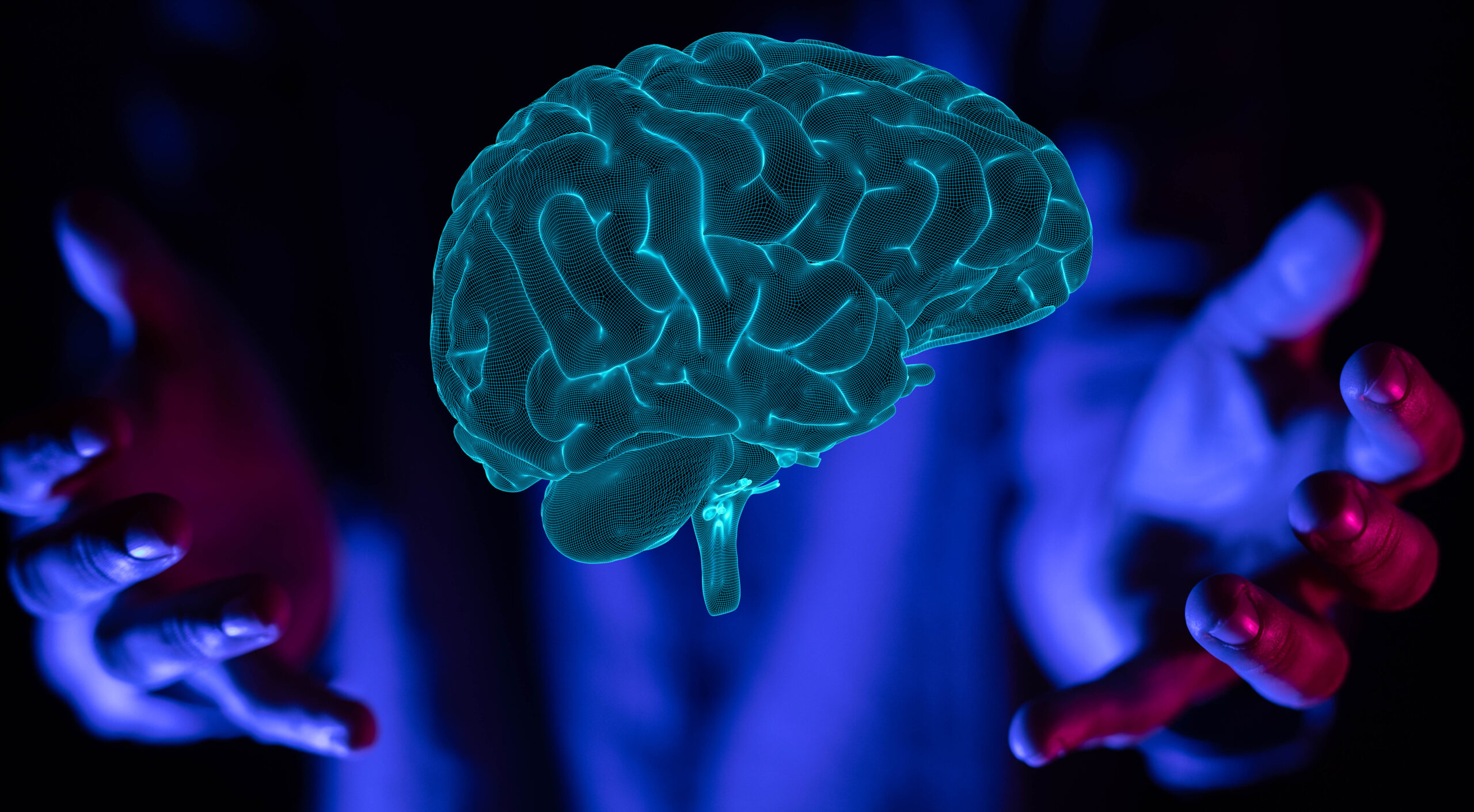 Cum se dezvoltă, de fapt, creierul? Un studiu aruncă o nouă lumină ...