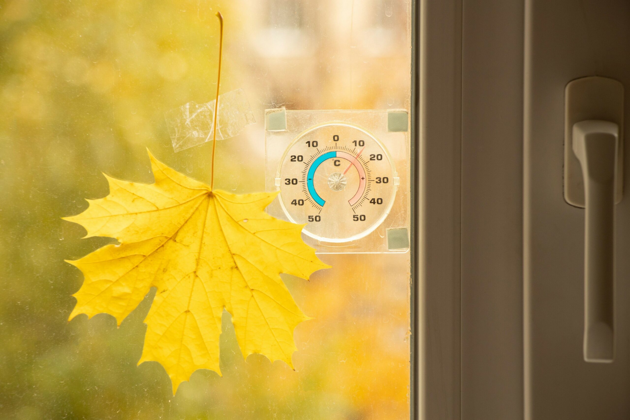 Ce se întâmplă cu vremea? Temperaturi neobișnuite în Europa, iarnă ...