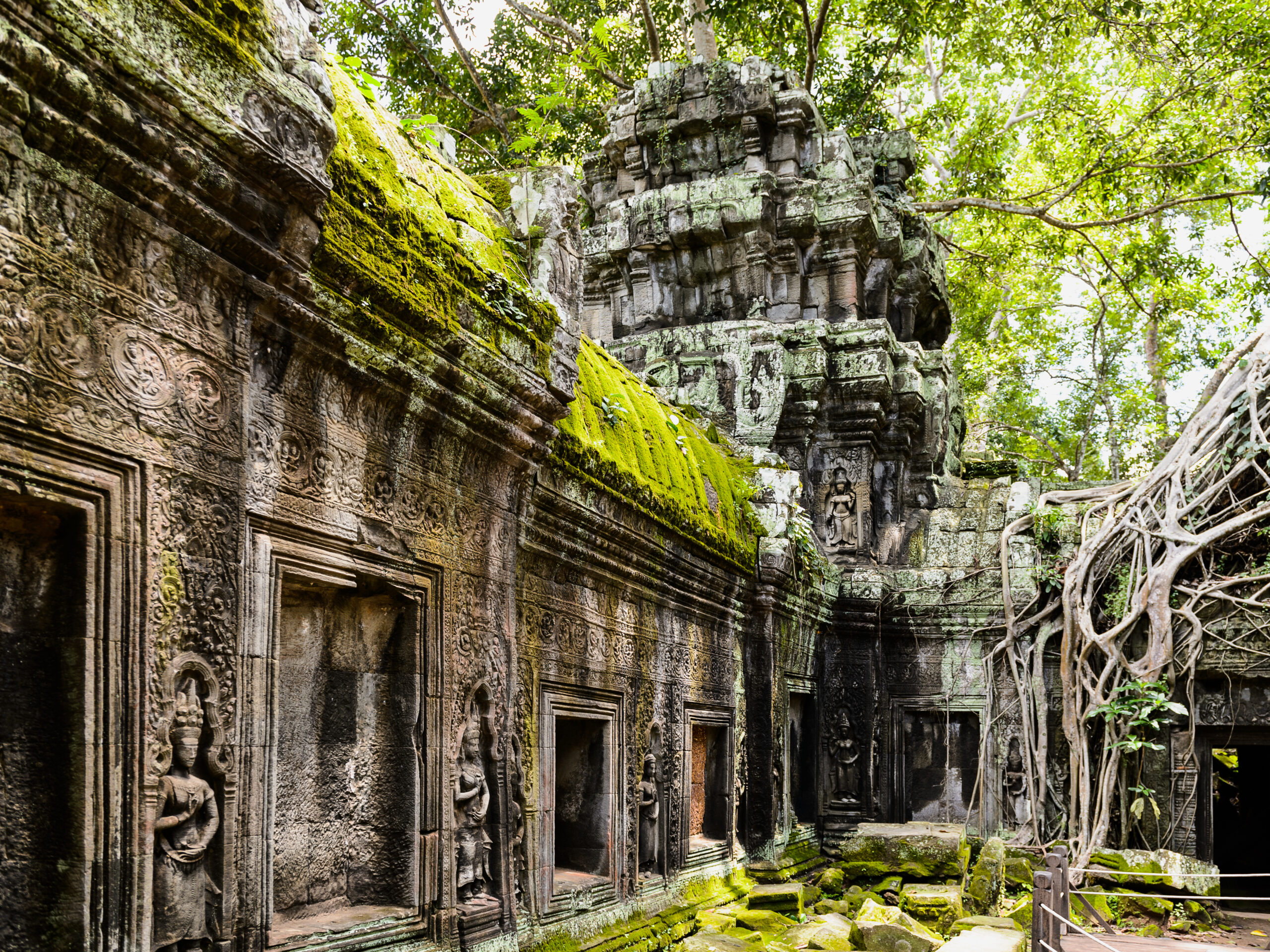 Temple budiste și peșteri ascunse, scoase la lumină în India
