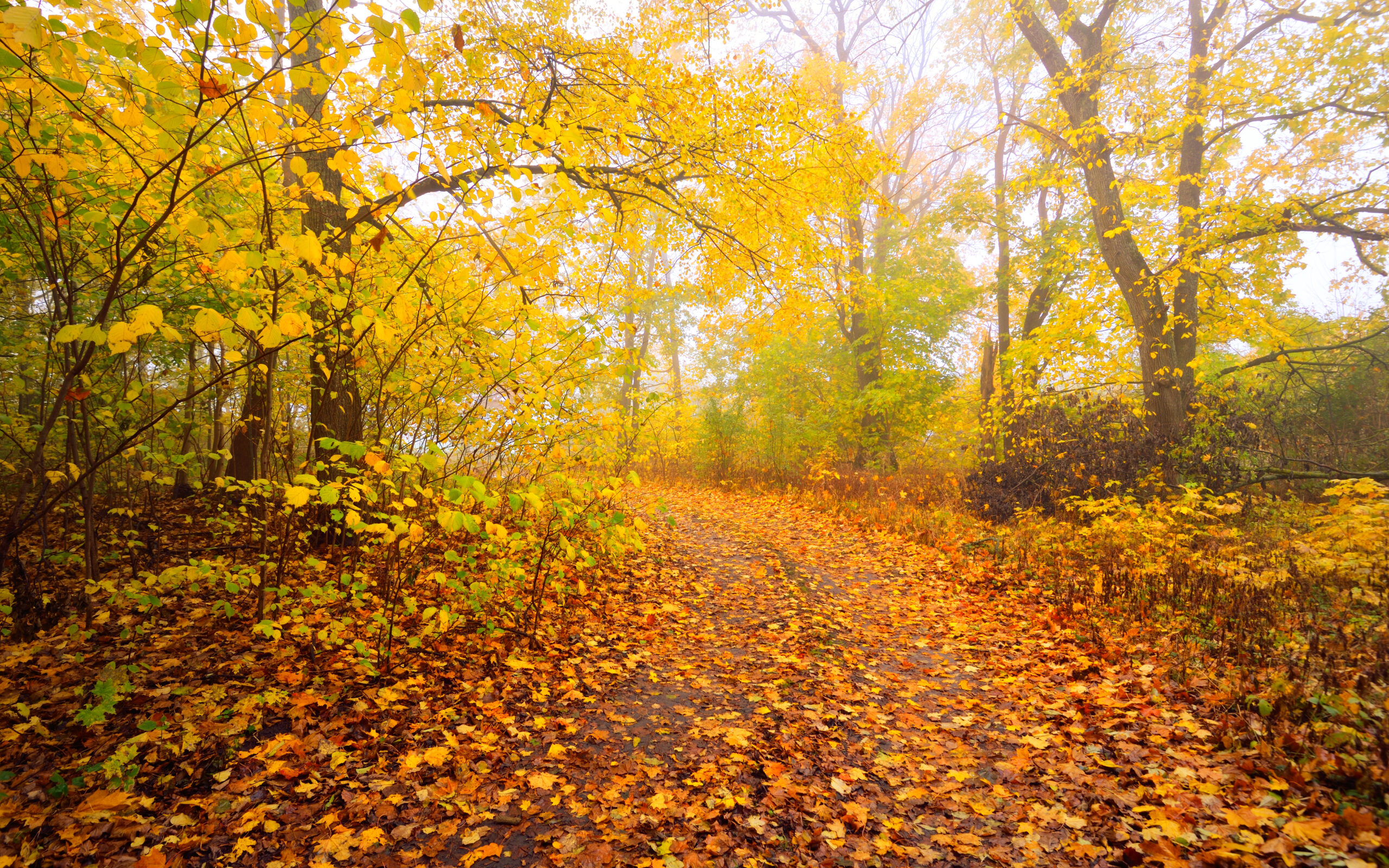 Vremea în următoarele săptămâni. Meteorologii anunță un sfârșit de ...